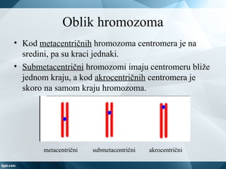 Šta je genetika | PPT