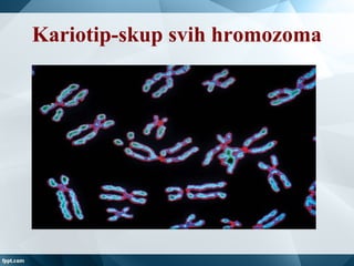 Šta je genetika | PPT