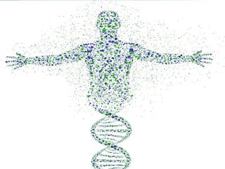 Šta je genetika | PPT