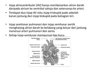 Sains Sukan STPM: Anatomi & Fisiologi | PPT
