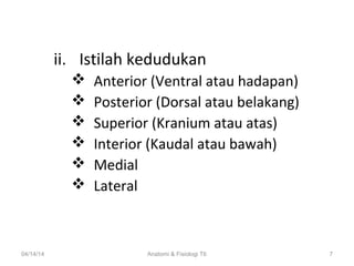 Sains Sukan STPM: Anatomi & Fisiologi | PPT