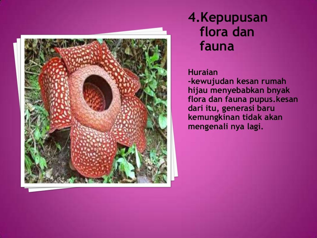 Punca Dan Kesan Rumah Hijau Pemanasan Global Dan