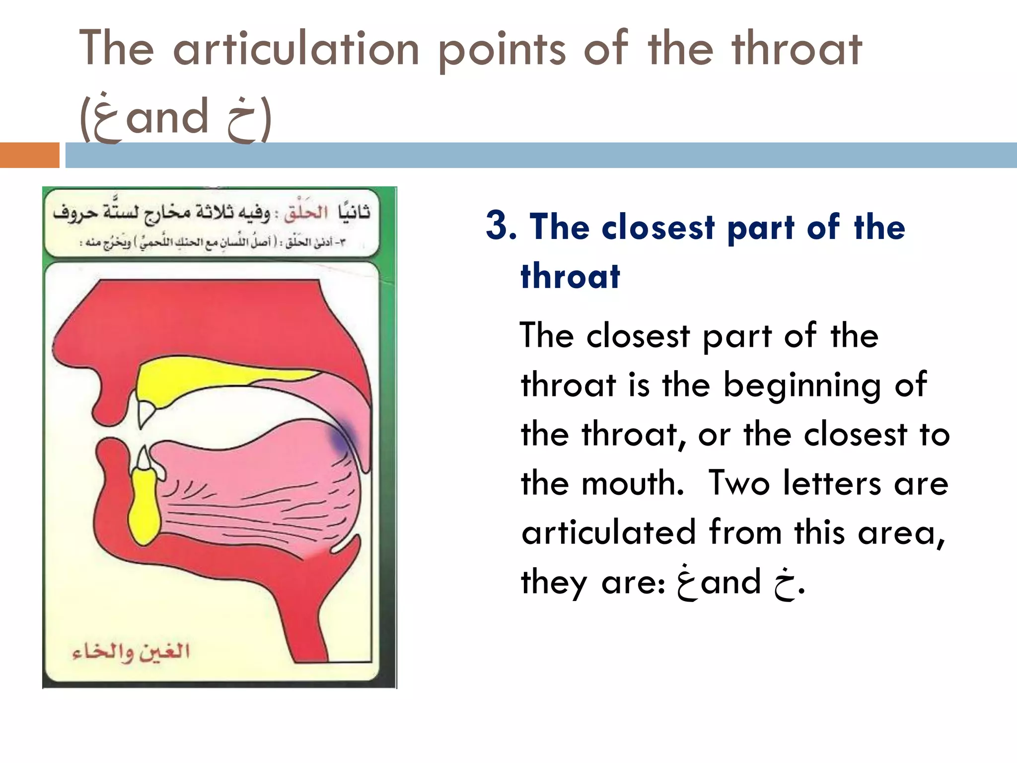 Tajweed lessons-points ofarticulation-english | PDF