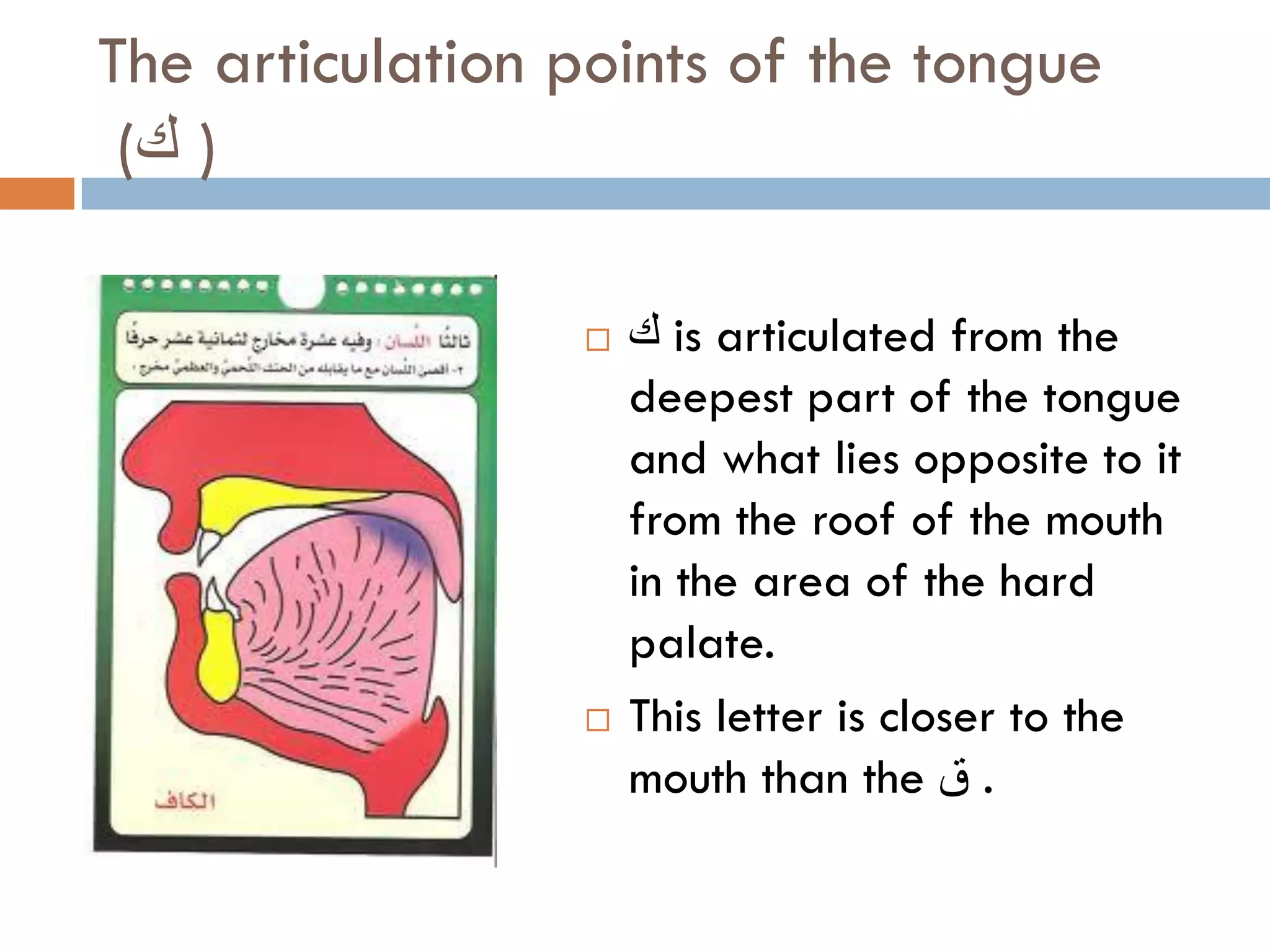 Tajweed lessons-points ofarticulation-english | PDF