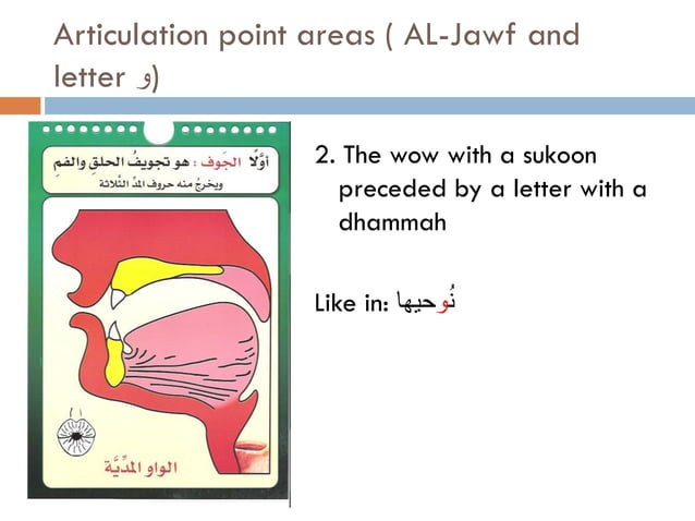 Tajweed lessons-points ofarticulation-english | PDF
