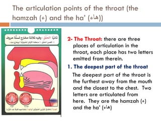 Tajweed lessons-points ofarticulation-english | PDF