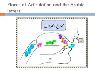 Tajweed lessons-points ofarticulation-english | PDF