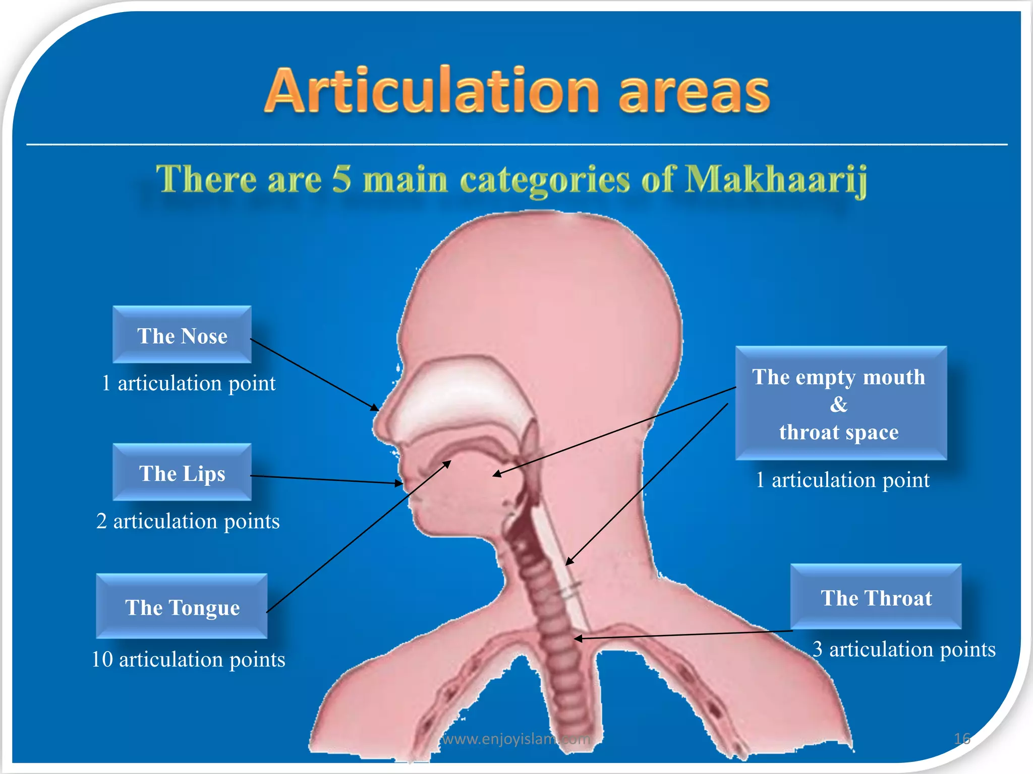 Tajweed course makhaaraj - engish | PDF