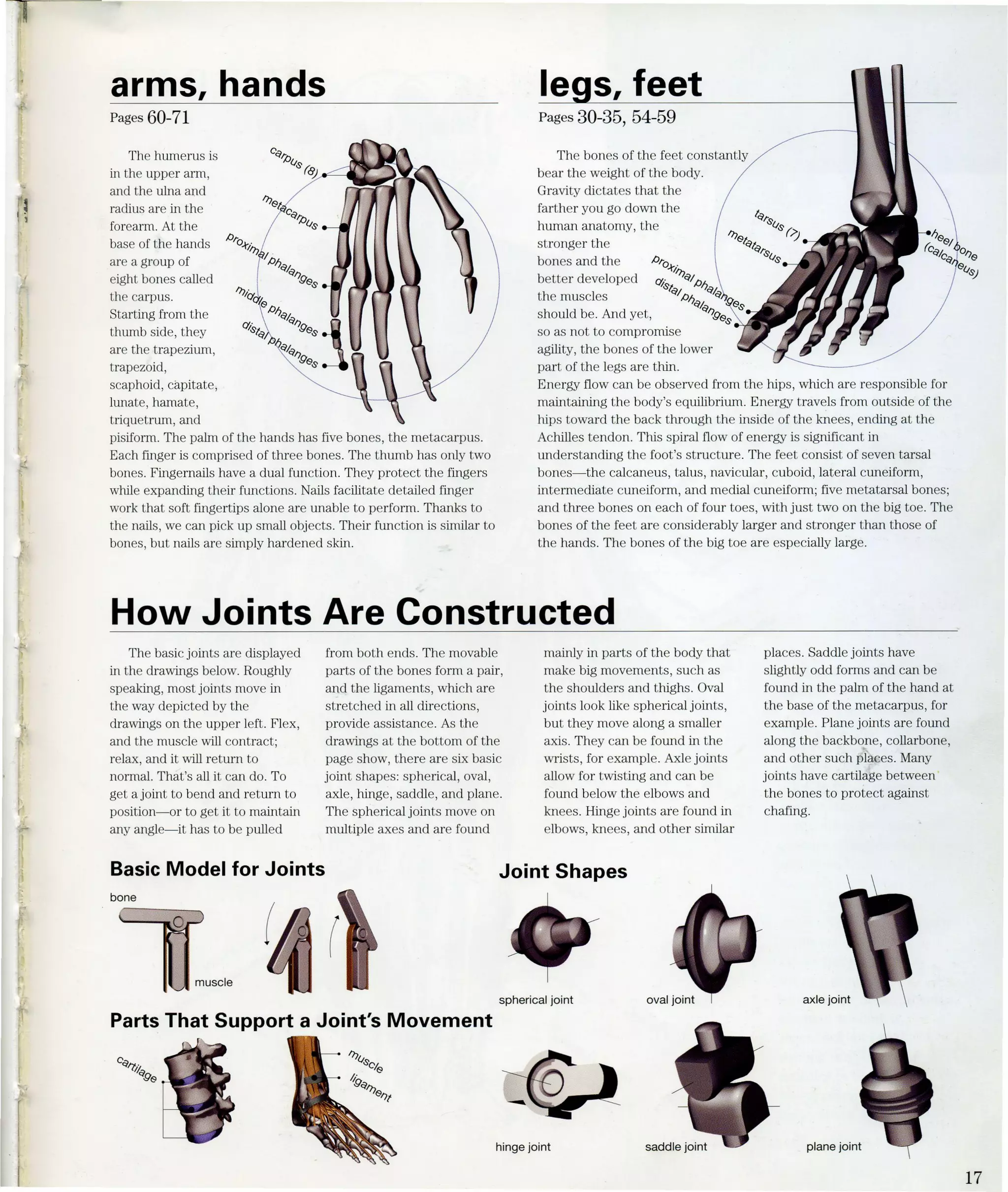 (Takashi ijima) action anatomy for games, animators, and digital ...