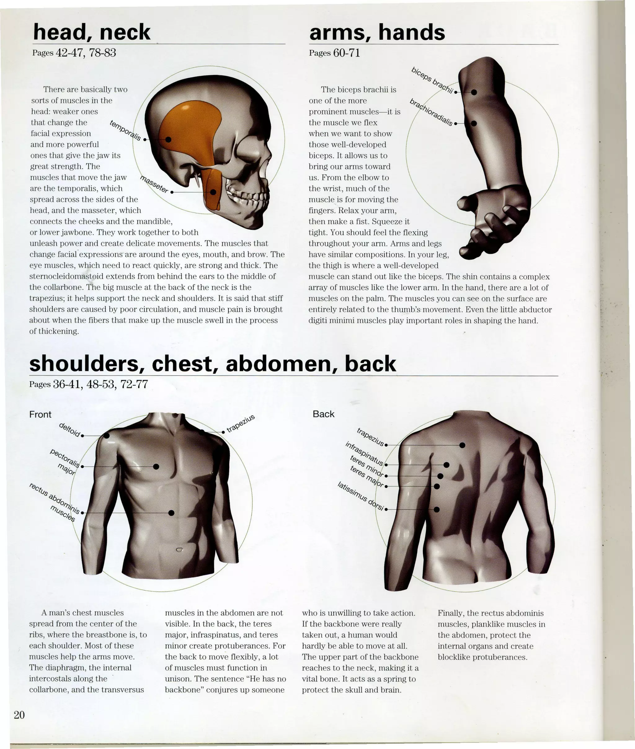 (Takashi ijima) action anatomy for games, animators, and digital ...