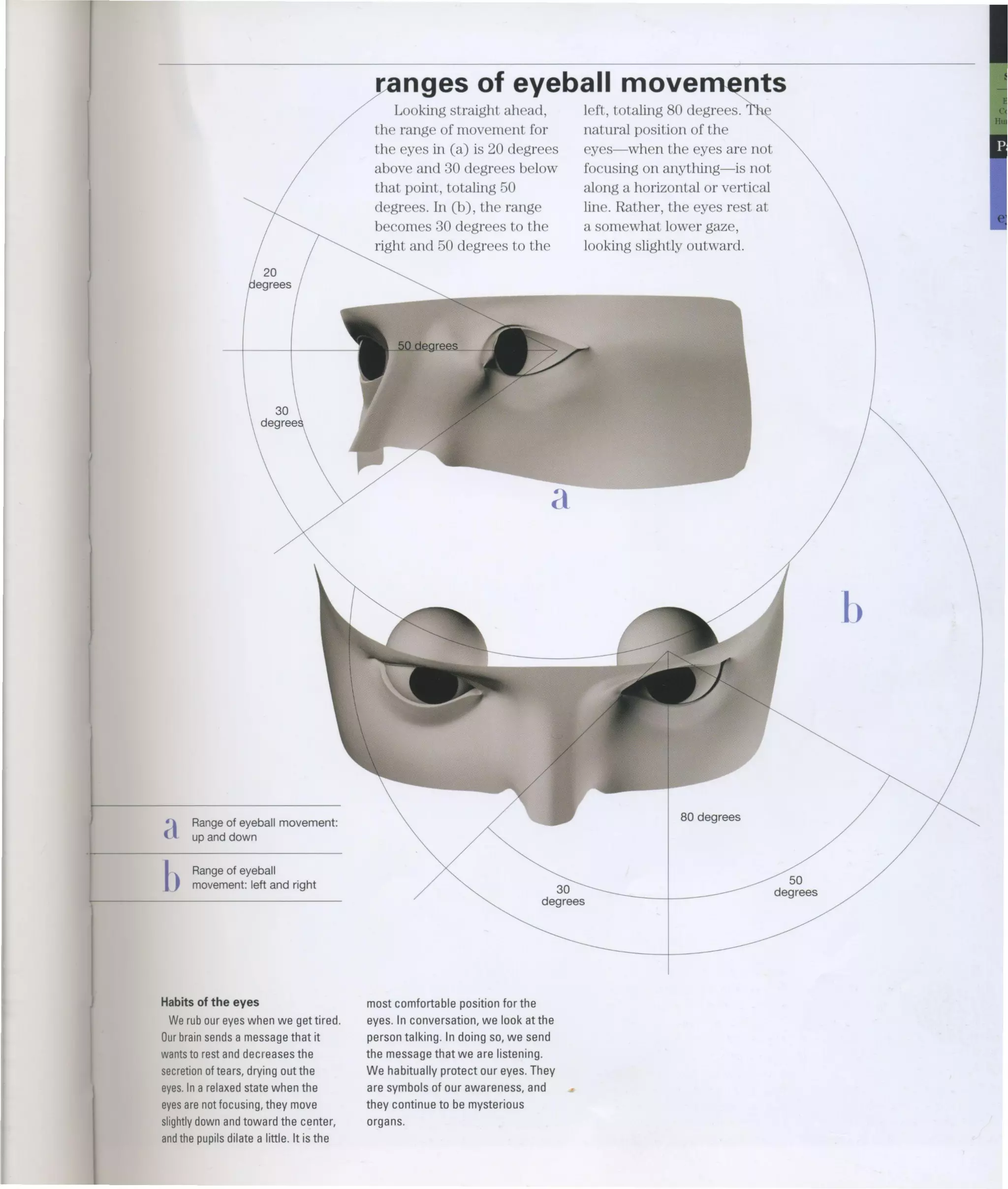 (Takashi ijima) action anatomy for games, animators, and digital ...