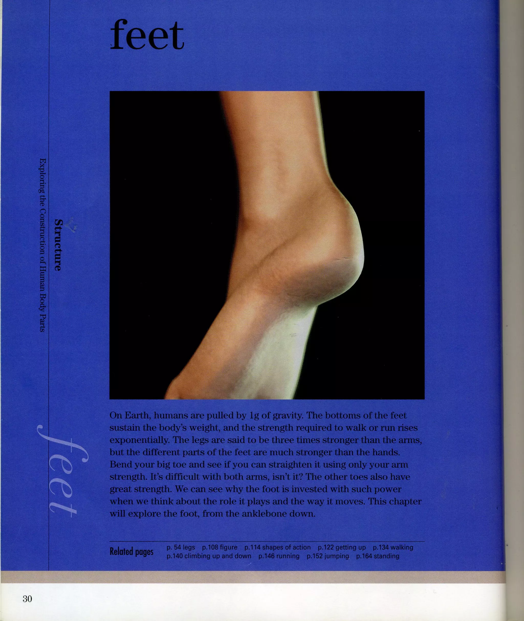 (Takashi ijima) action anatomy for games, animators, and digital ...