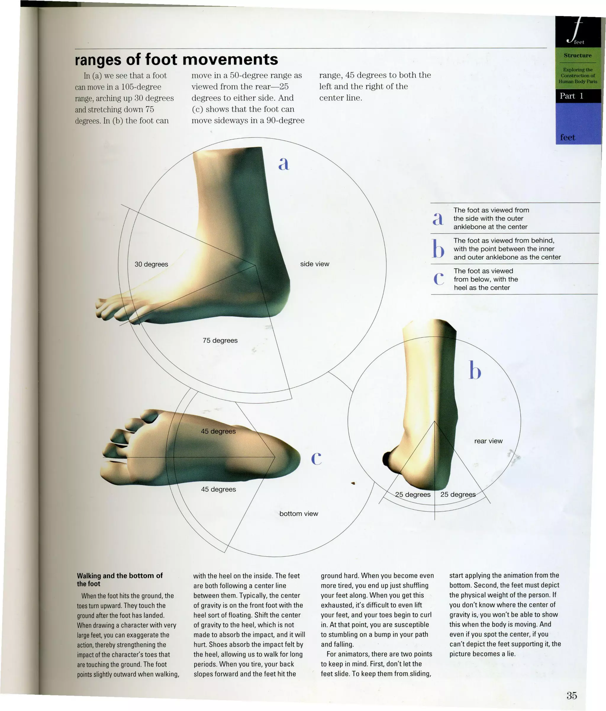(Takashi ijima) action anatomy for games, animators, and digital ...
