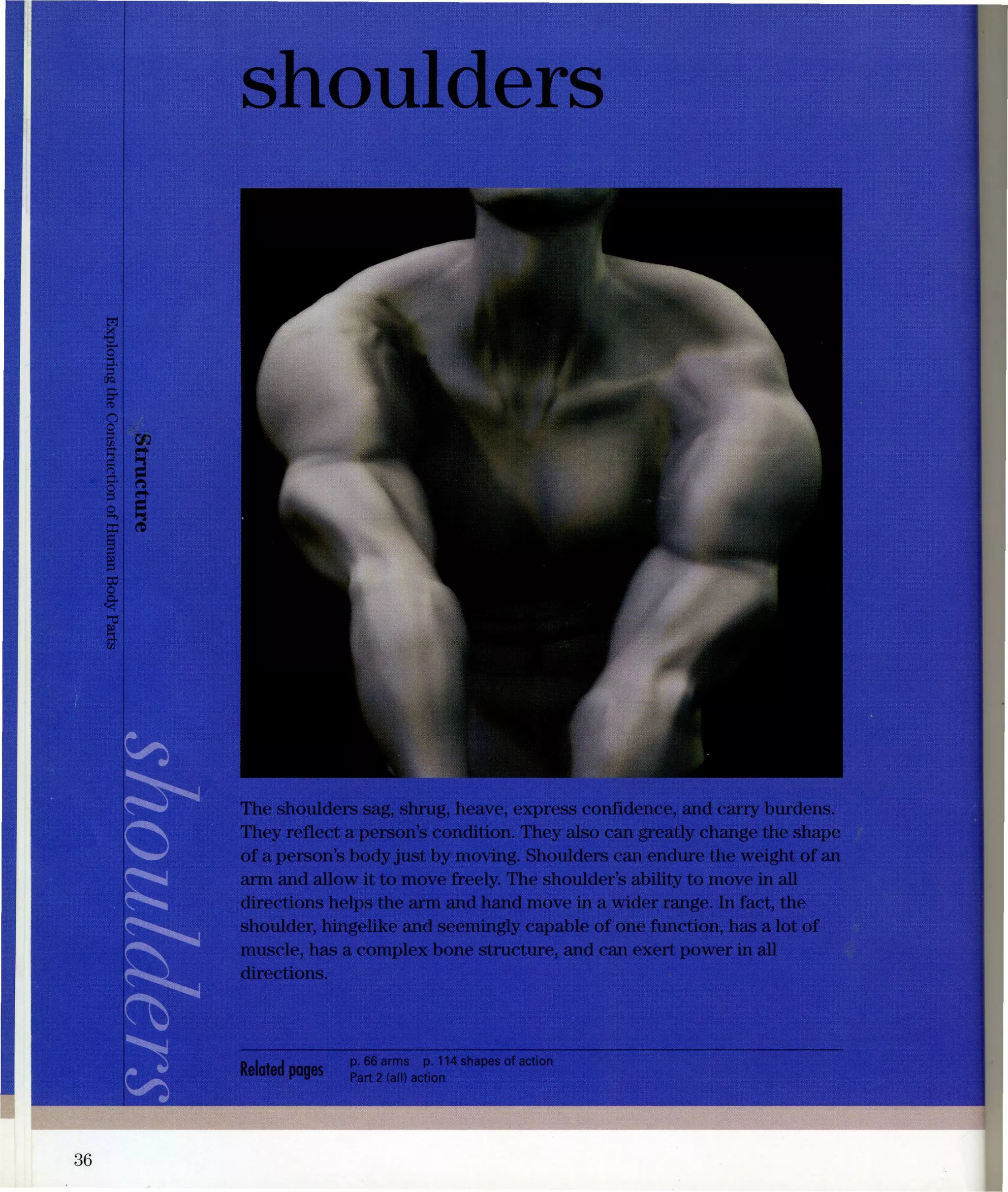 (Takashi ijima) action anatomy for games, animators, and digital ...