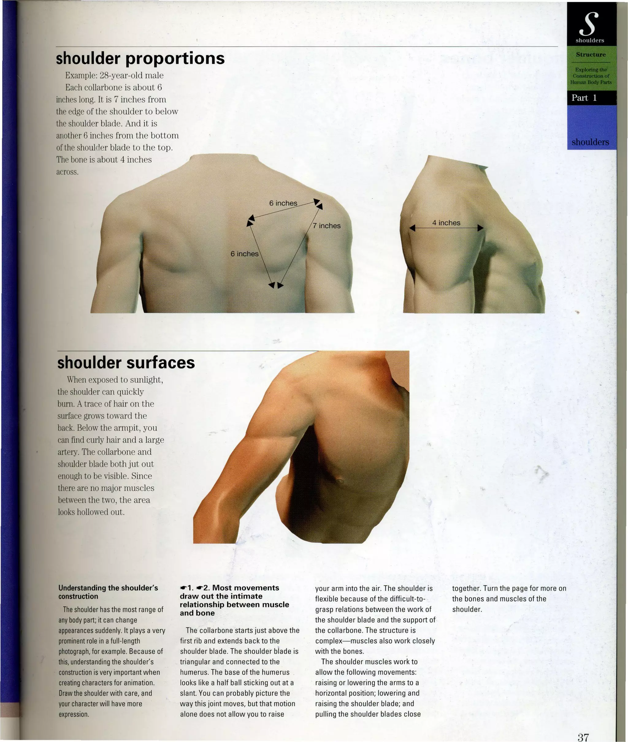 (Takashi ijima) action anatomy for games, animators, and digital ...