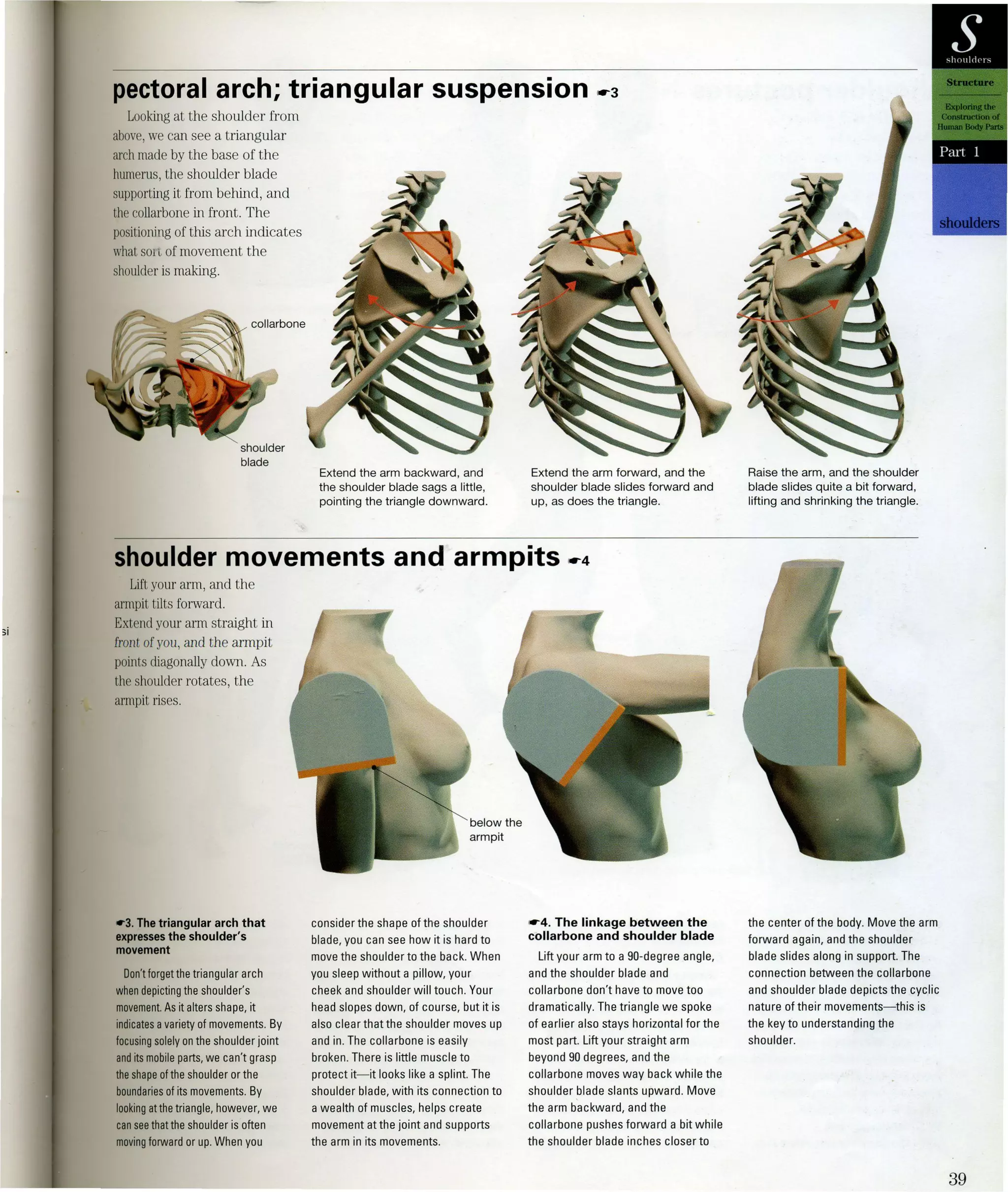 (Takashi ijima) action anatomy for games, animators, and digital ...
