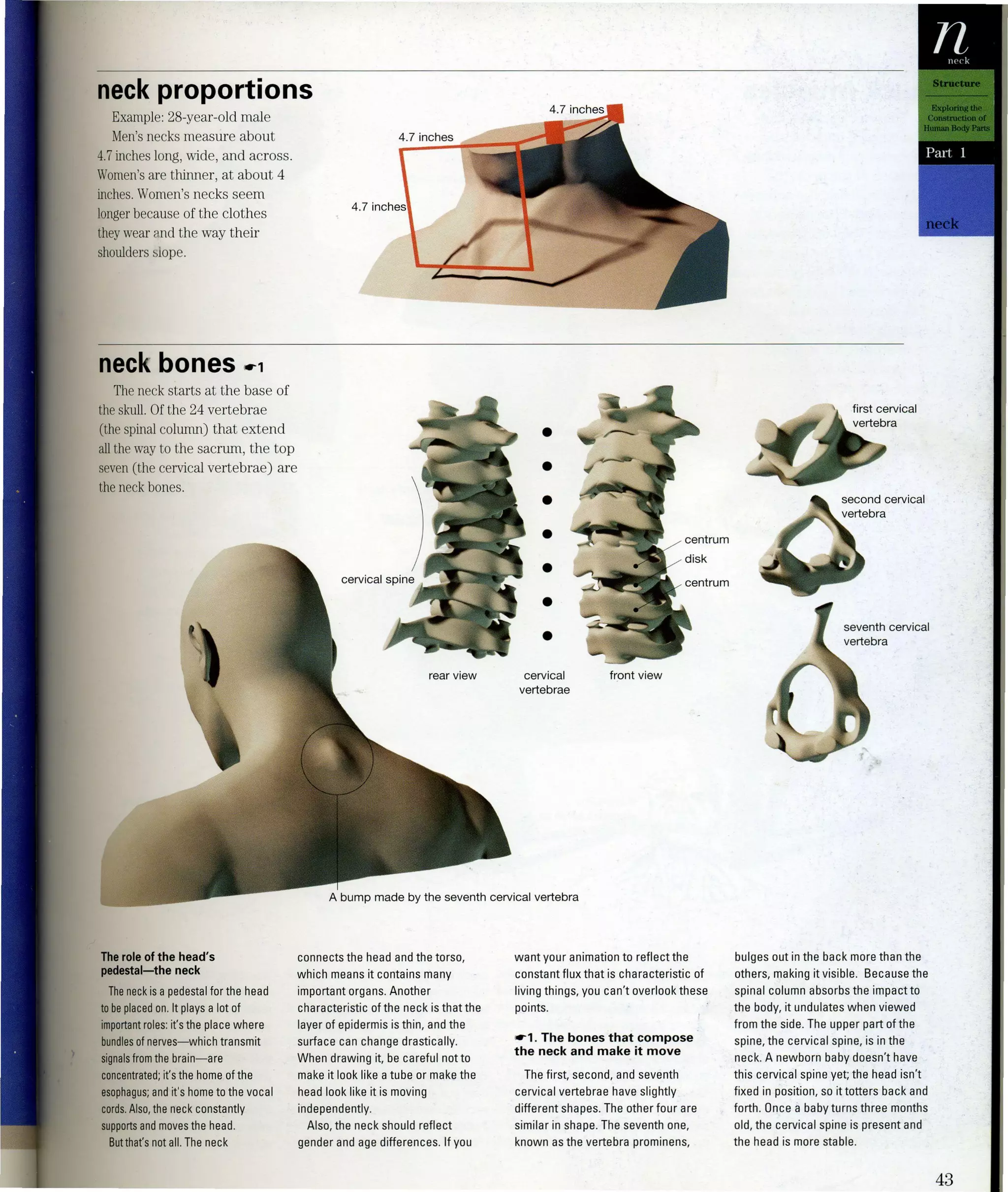 (Takashi ijima) action anatomy for games, animators, and digital ...