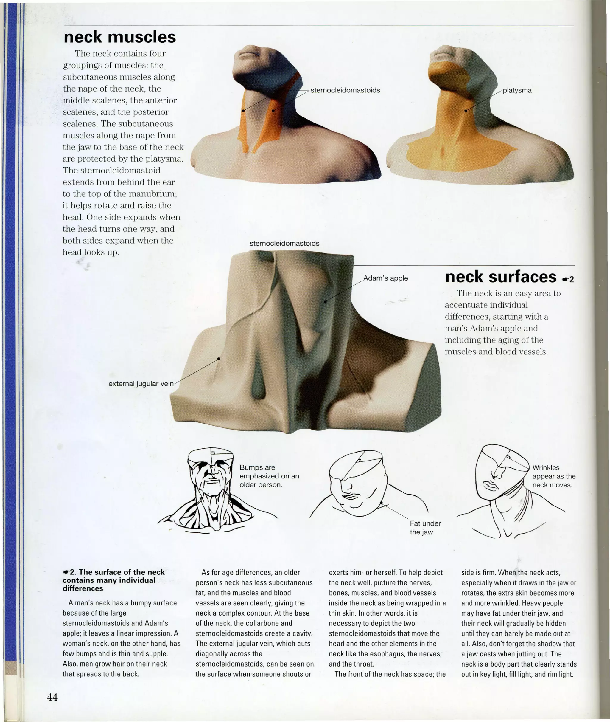 (Takashi ijima) action anatomy for games, animators, and digital ...