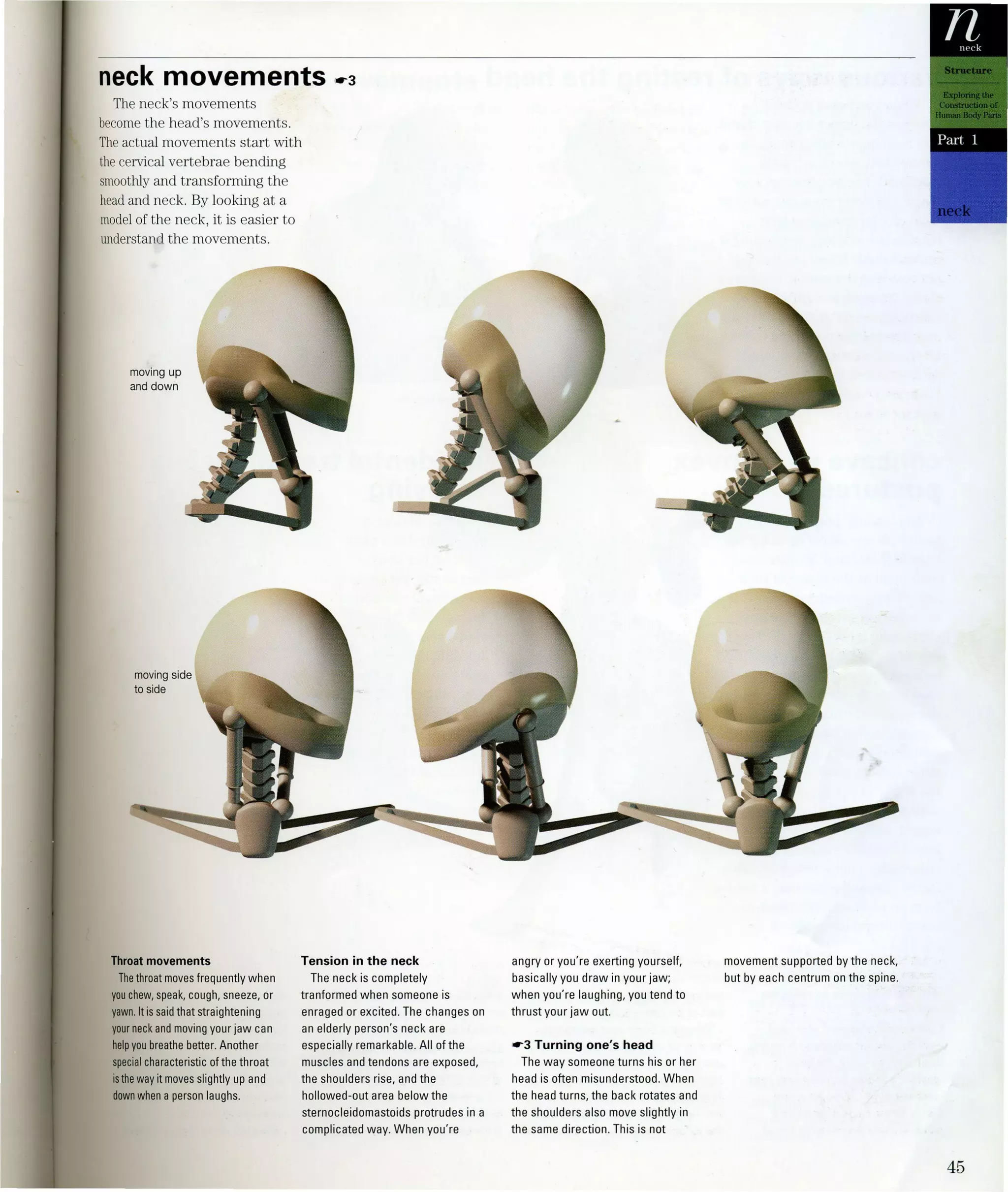 (Takashi ijima) action anatomy for games, animators, and digital ...