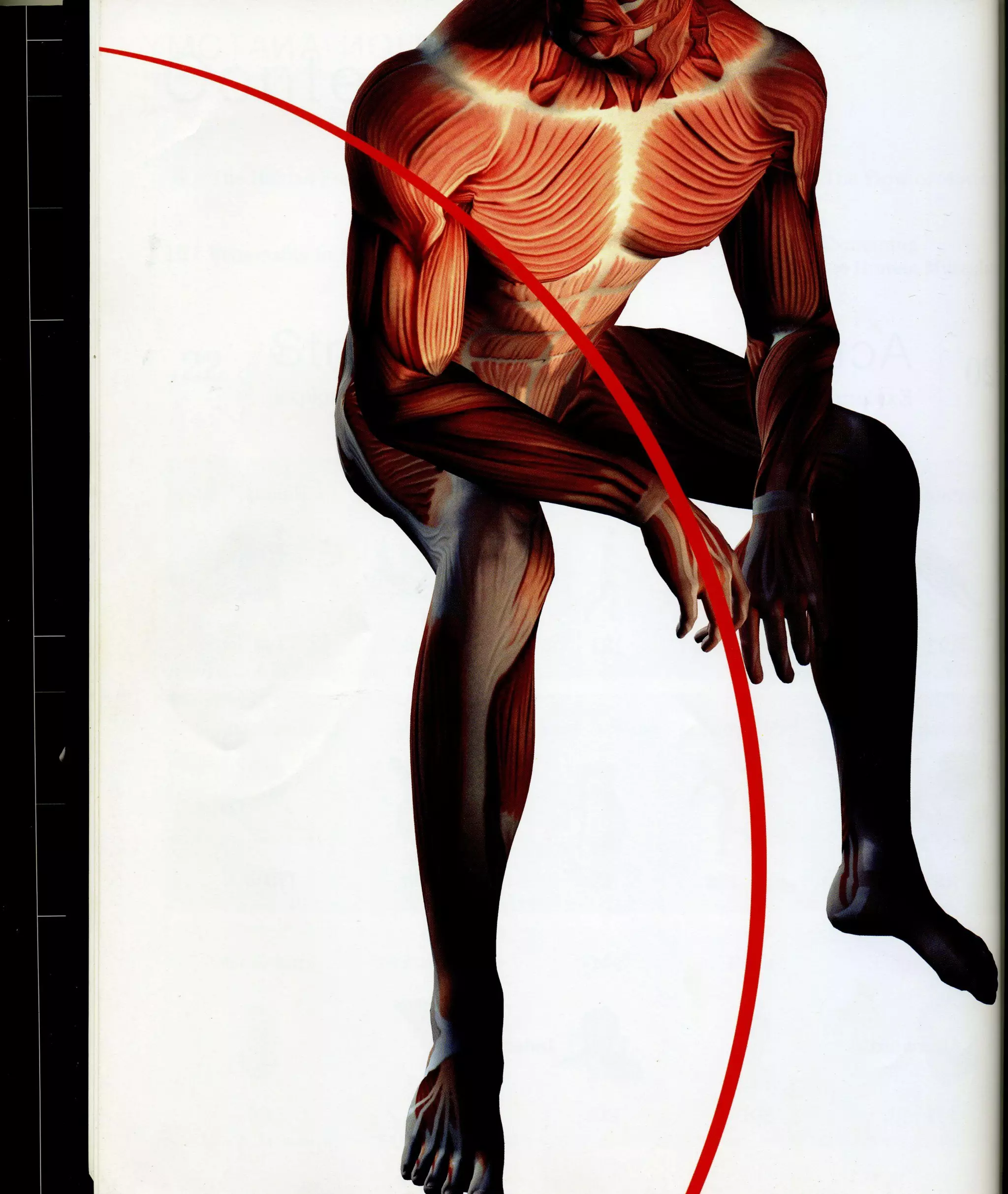 (Takashi ijima) action anatomy for games, animators, and digital ...