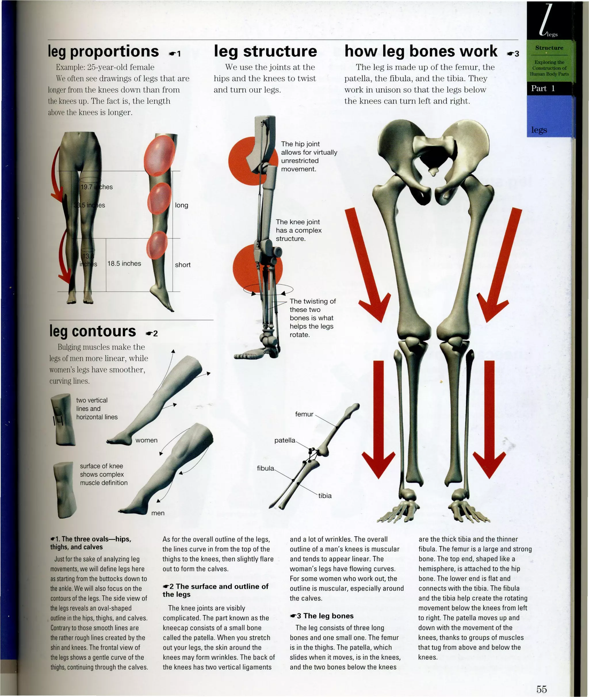 (Takashi ijima) action anatomy for games, animators, and digital ...