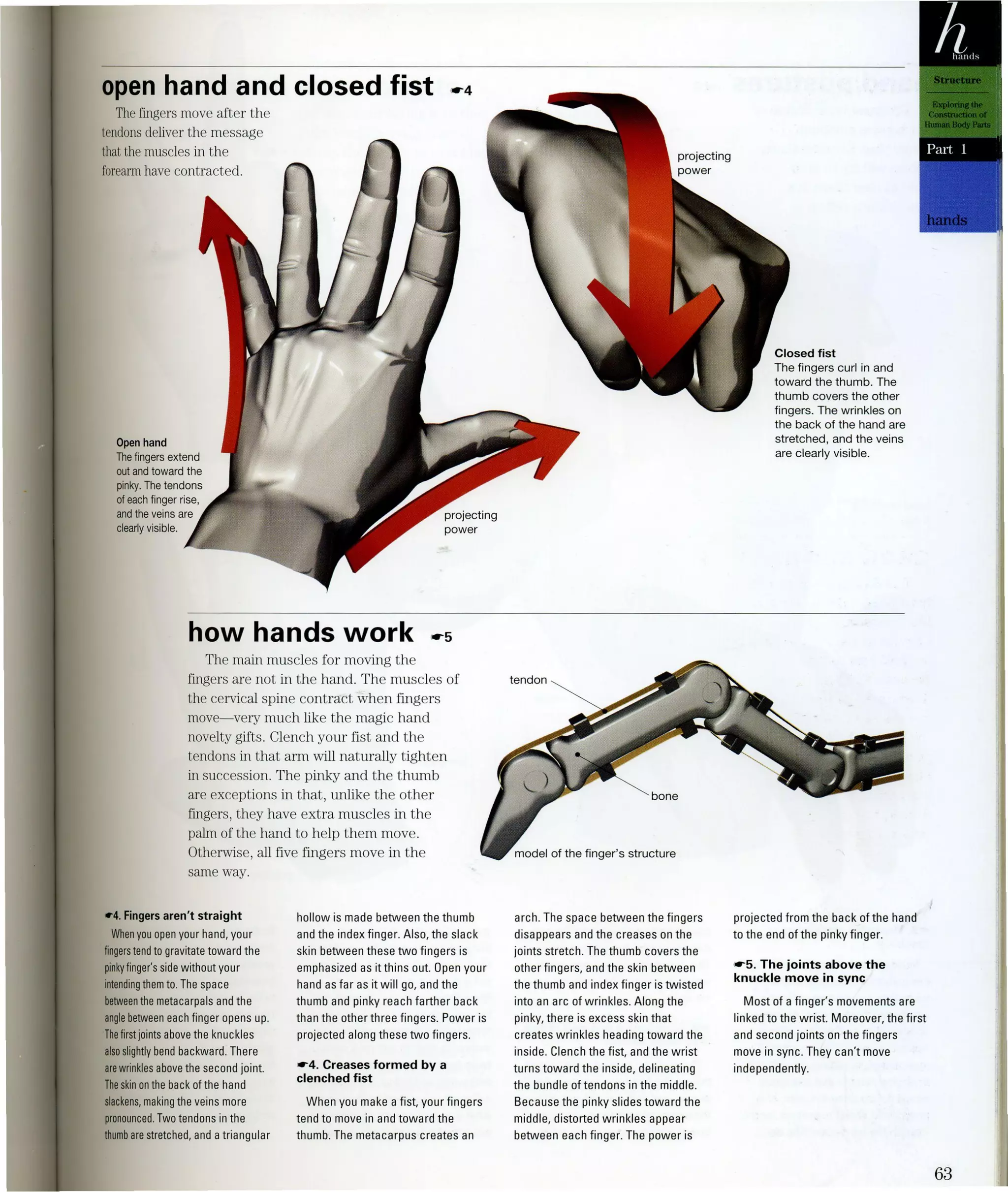 (Takashi ijima) action anatomy for games, animators, and digital ...