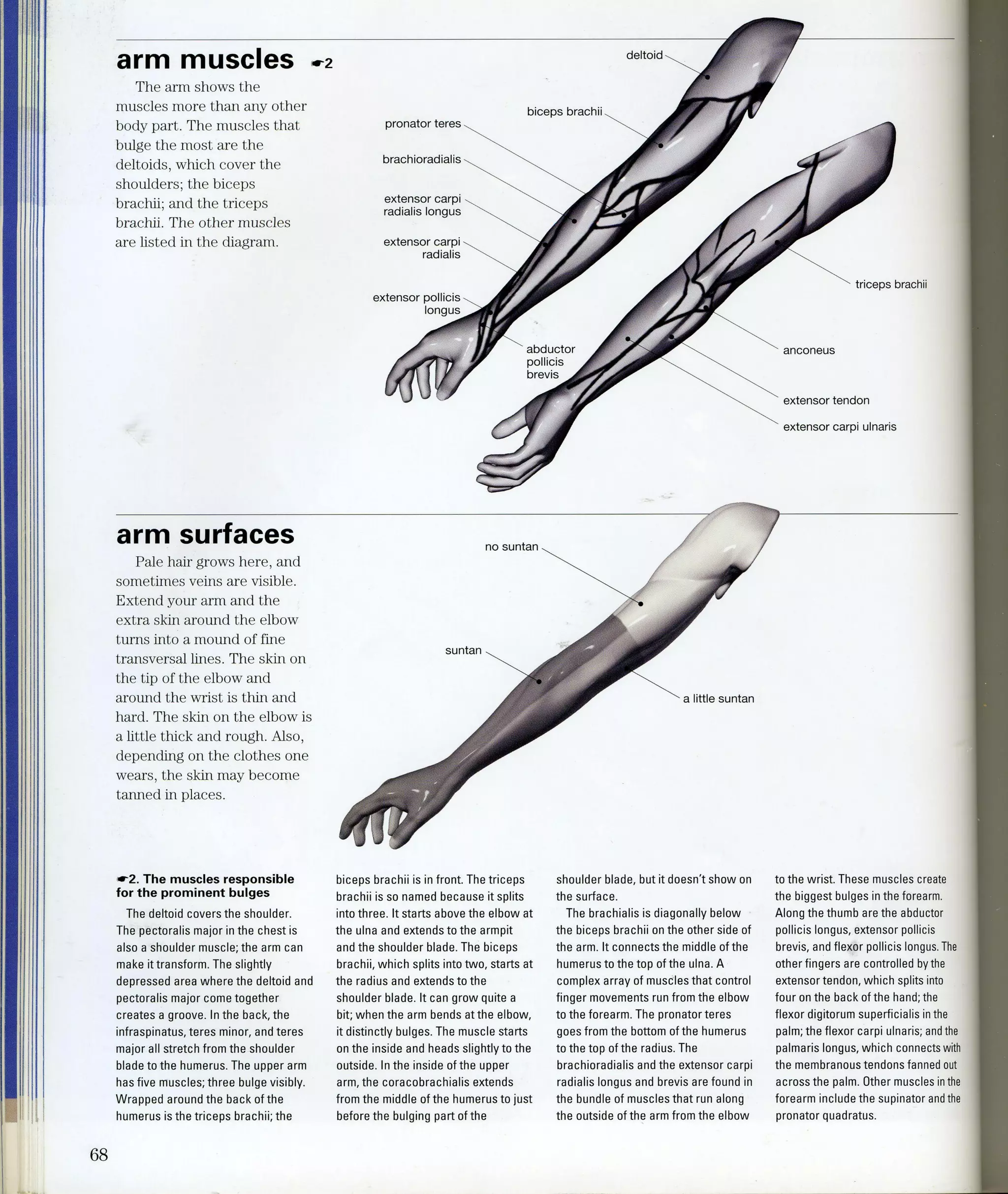 (Takashi ijima) action anatomy for games, animators, and digital ...