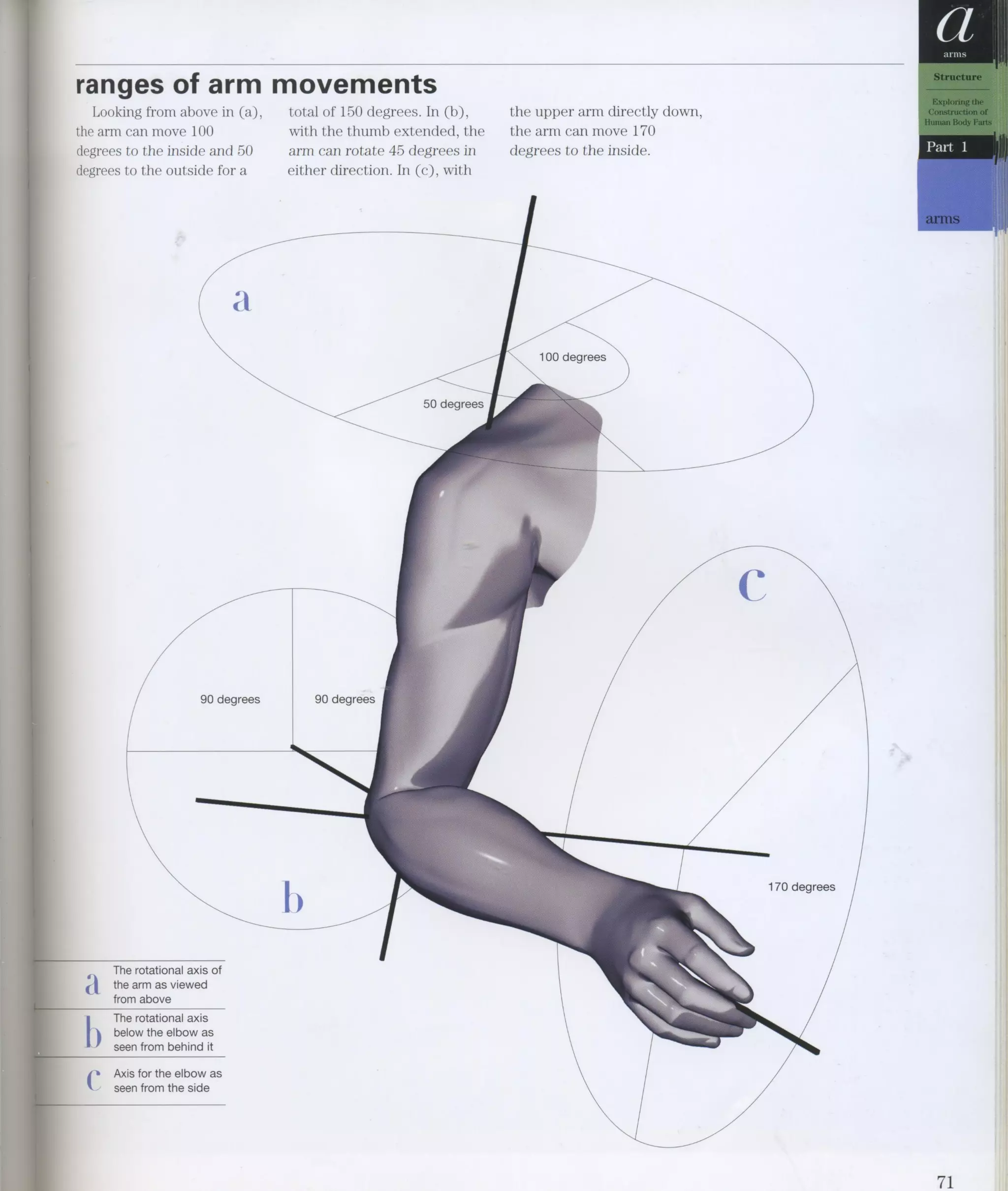 (Takashi ijima) action anatomy for games, animators, and digital ...