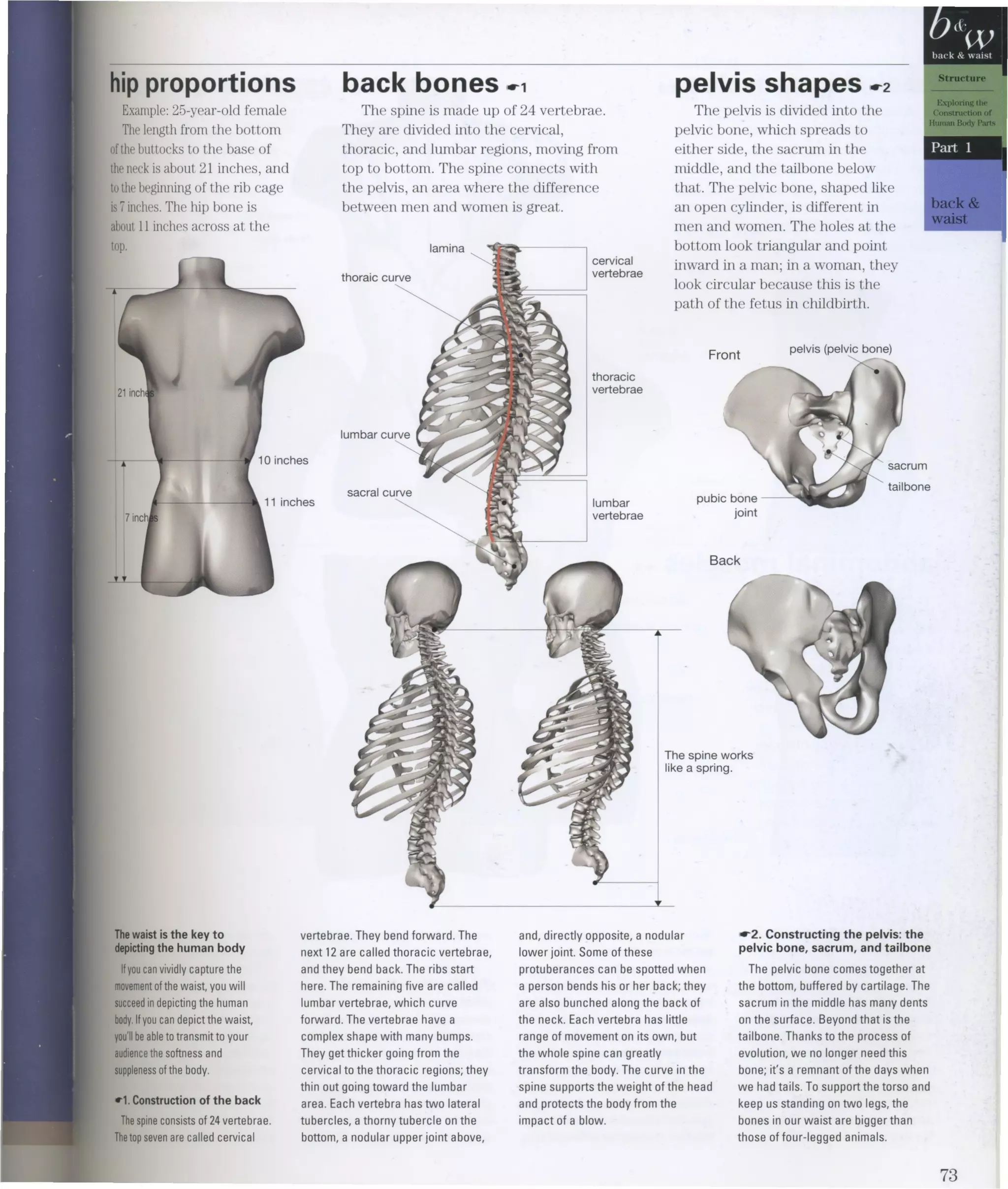 (Takashi ijima) action anatomy for games, animators, and digital ...