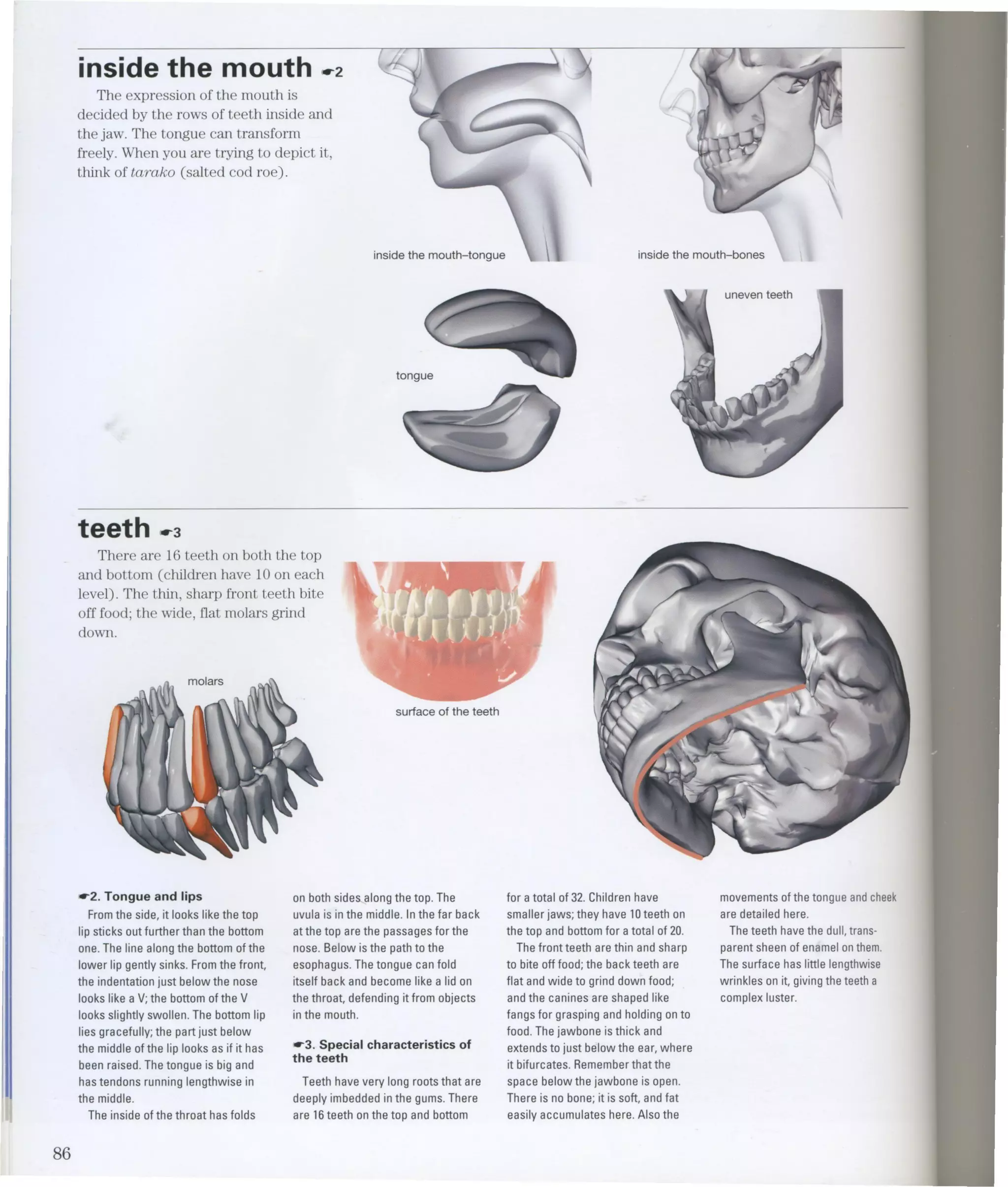 (Takashi ijima) action anatomy for games, animators, and digital ...