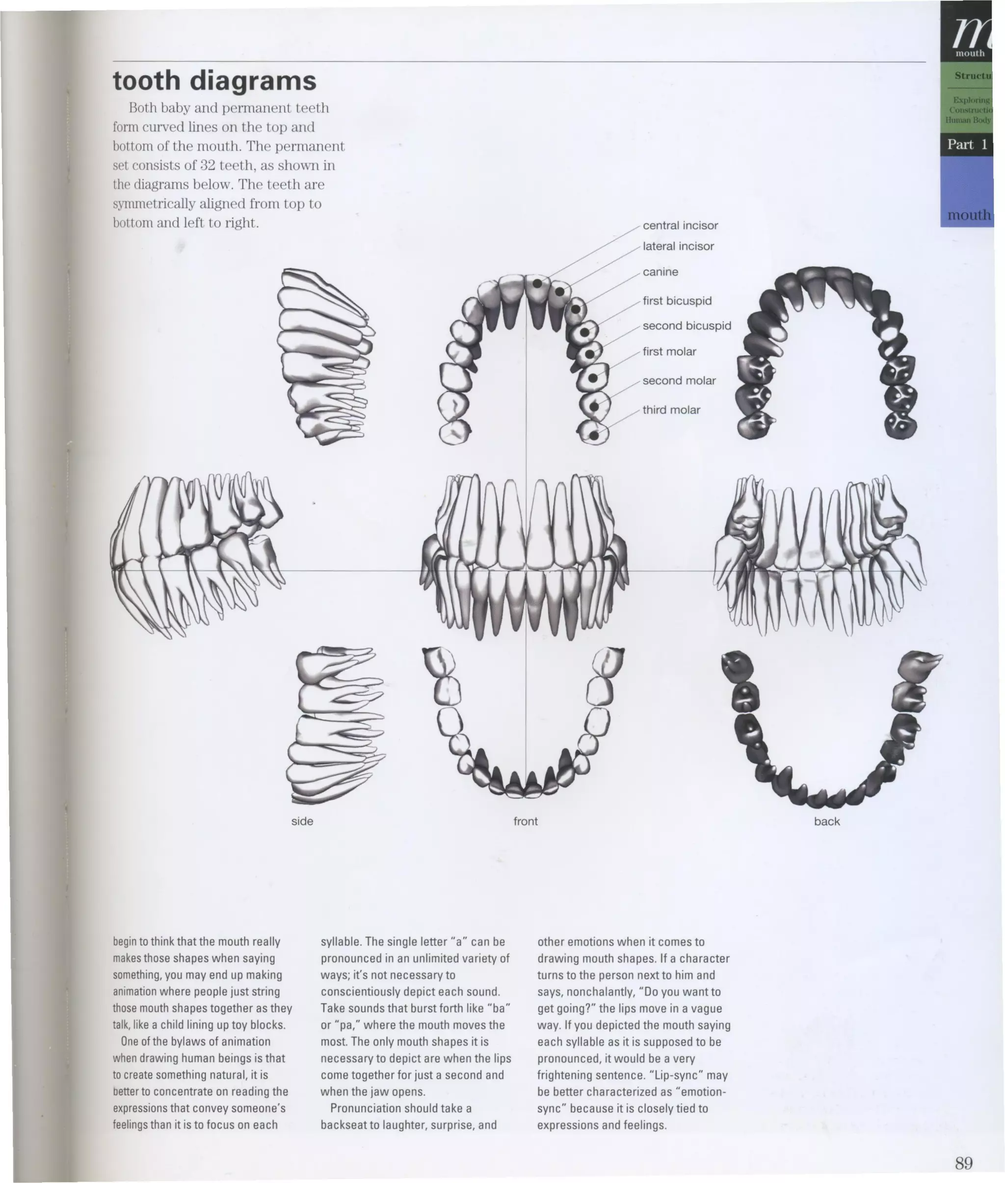 (Takashi ijima) action anatomy for games, animators, and digital ...