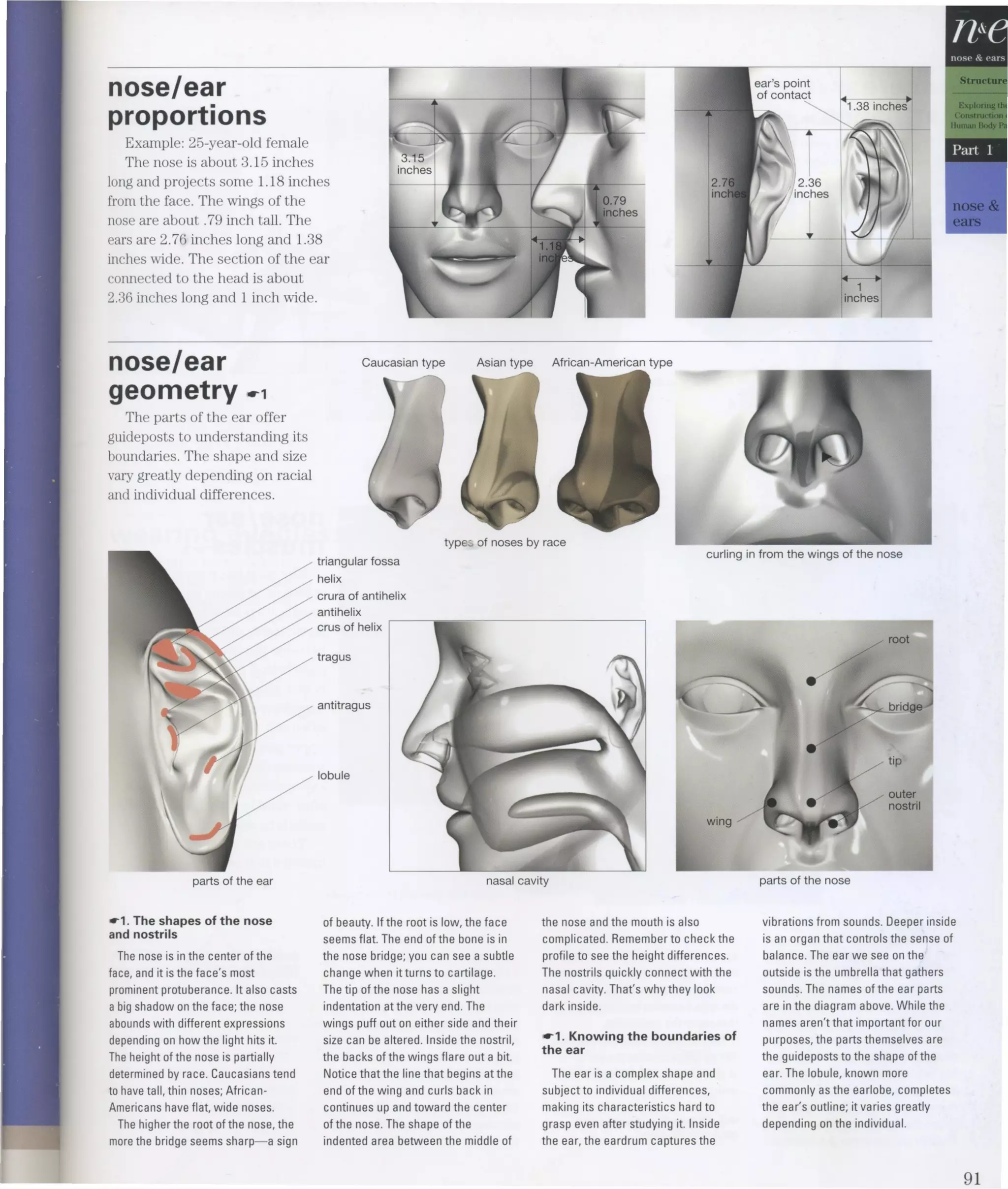 (Takashi ijima) action anatomy for games, animators, and digital ...
