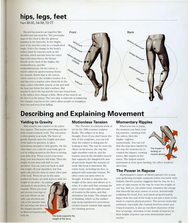 (Takashi ijima) action anatomy for games, animators, and digital ...