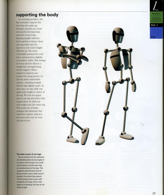 (Takashi ijima) action anatomy for games, animators, and digital ...
