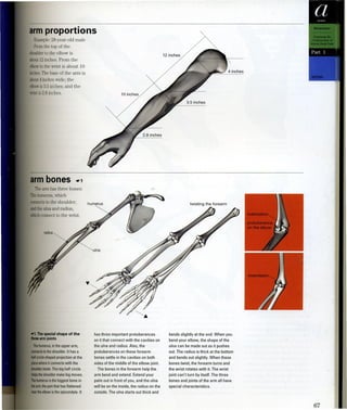(Takashi ijima) action anatomy for games, animators, and digital ...