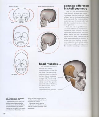(Takashi ijima) action anatomy for games, animators, and digital ...