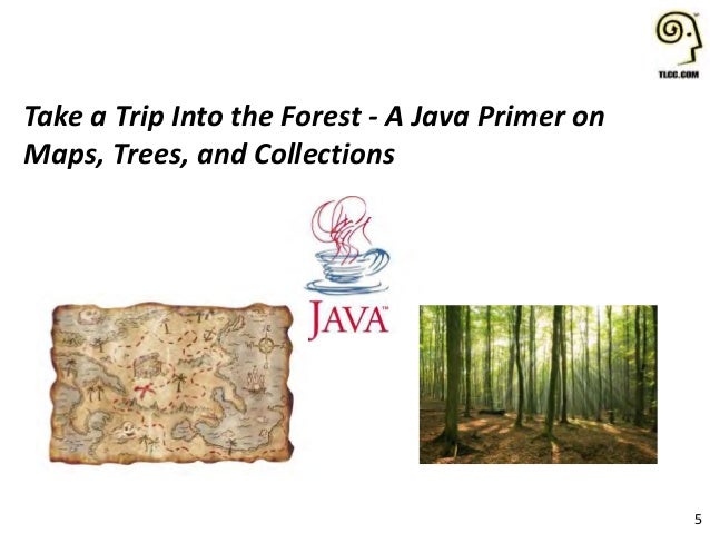 Take a Trip Into the Forest: A Java Primer on Maps, Trees, and Collec…