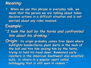 Take The Bull By The Horns | PPT | Sports