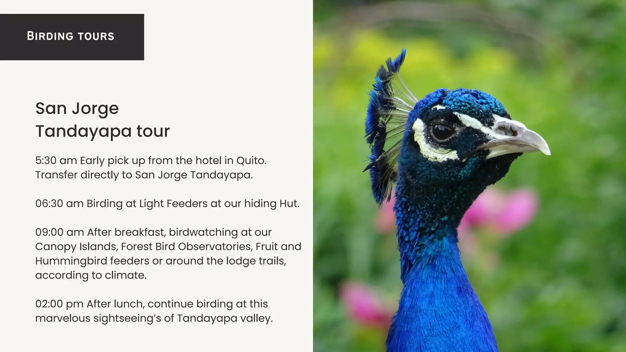 Enjoy The Wildlife Adventure Tours With San Jorge Eco Lodge Quito.pdf