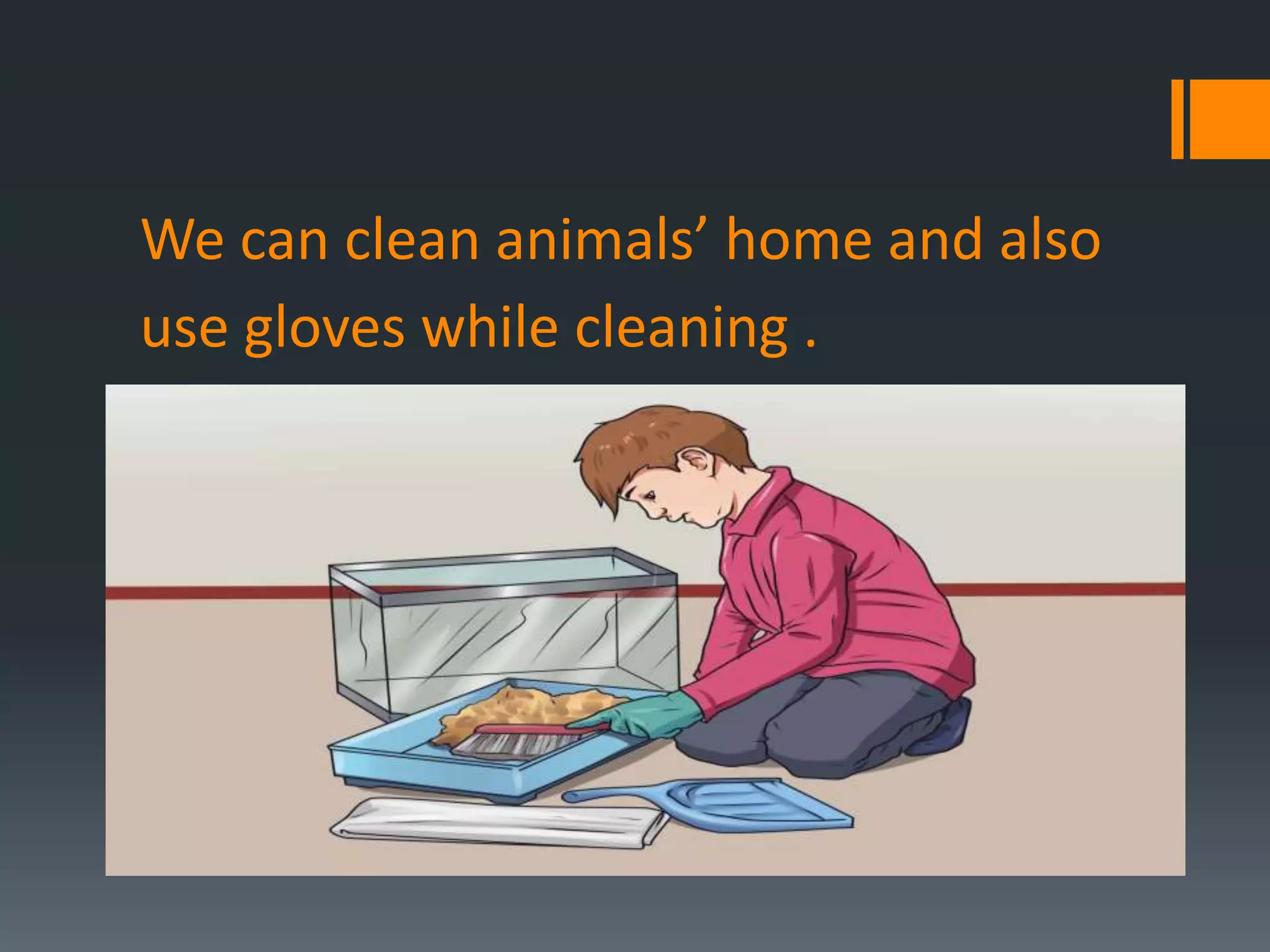 Take care of animals | PPTX