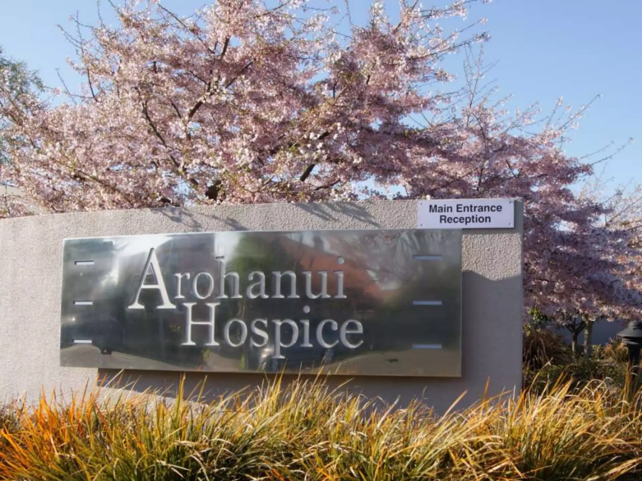 Take one Palliative Care Data Standard, a course of NZ Universal List ...