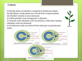 Takhtajan System of Classification.pdf