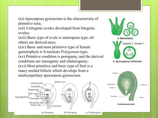 Takhtajan System of Classification.pdf