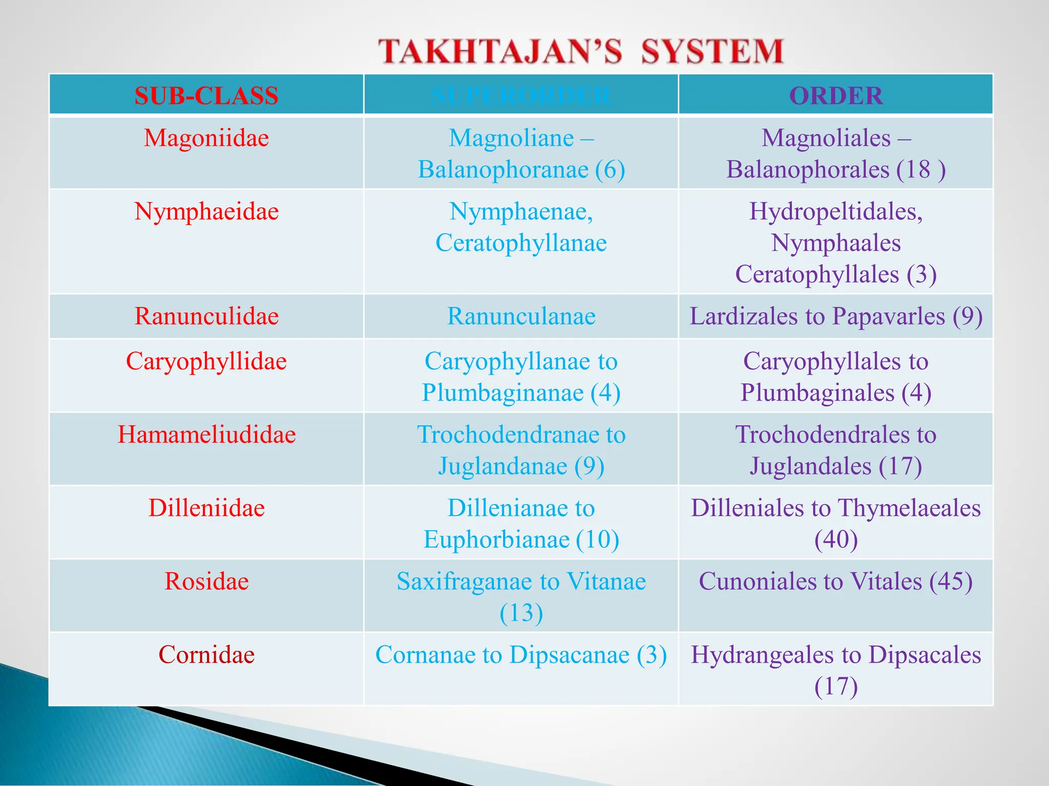 Takhtajan System of Plant Classification.pdf