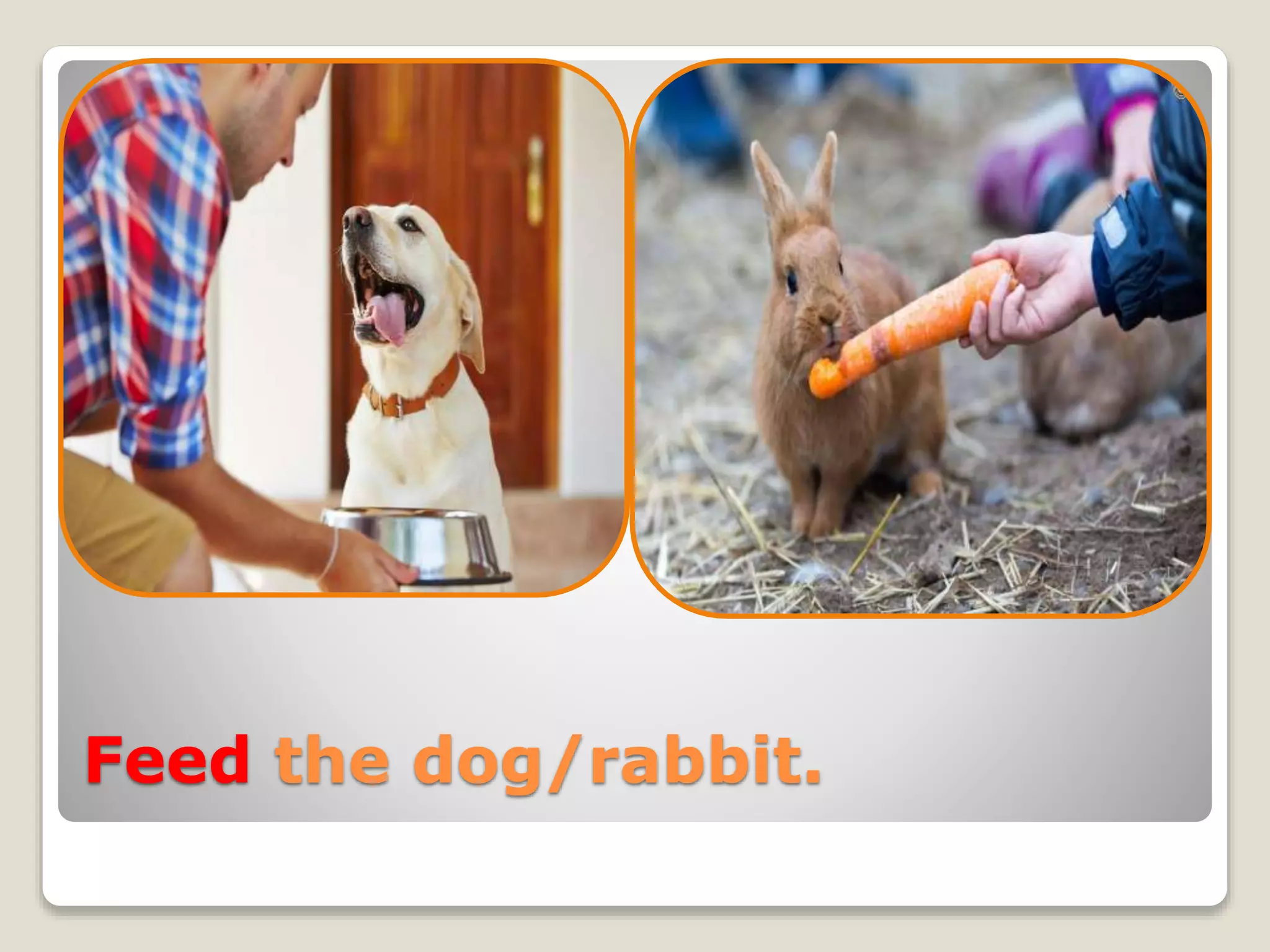 taking-care-of-pets-fun-activities-games-warmers-coolers_97965.pptx