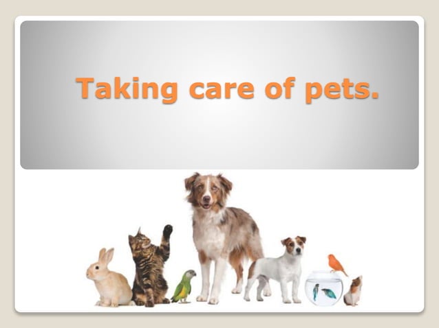 taking-care-of-pets-fun-activities-games-warmers-coolers_97965.pptx