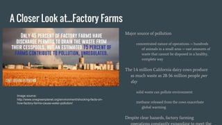 Taking Action: Ethical Food Consumption | PPTX