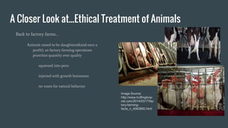 Taking Action: Ethical Food Consumption | PPTX