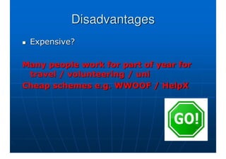 Taking A GAP Year | PDF