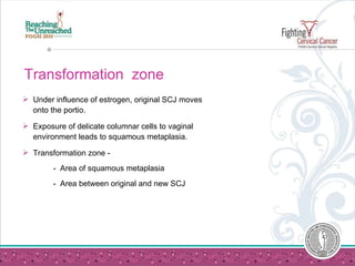 Taking A Pap Smear | PPT